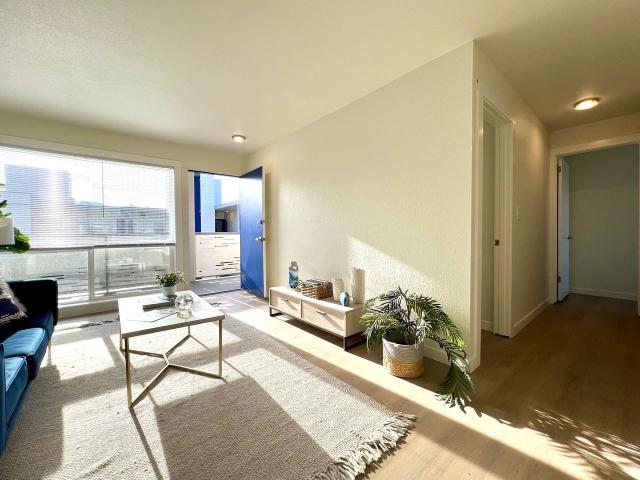 The Larkspur 2 Bedroom Apartment for Rent at 1727 Summit Ave, Seattle, WA 98122 Broadway