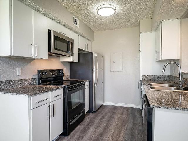 The Lex 1 Bedroom Apartment for Rent at 9701 W Ferris Branch Blvd, Dallas, TX 75243