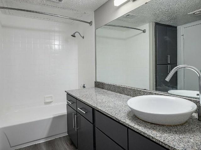 The Lex 1 Bedroom Apartment for Rent at 9701 W Ferris Branch Blvd, Dallas, TX 75243