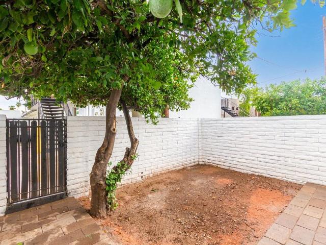 The Montara 1 Bedroom Apartment for Rent at 224 S Allen, Mesa, AZ 85204 Reed Park