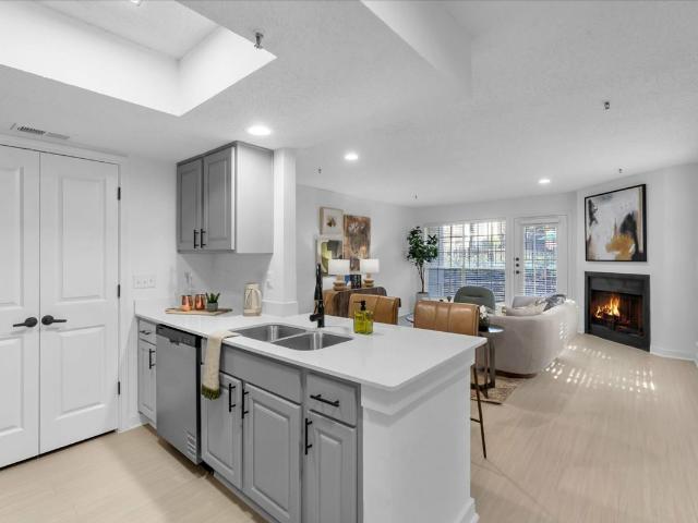 The Monte 1 Bedroom Apartment for Rent at 4909 Haverwood Ln, Dallas, TX 75287
