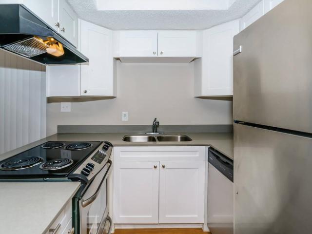 The Madeira 2 Bedroom Apartment for Rent at 7533 38th Ave N, St. Petersburg, FL 33710 Jungle Terrace