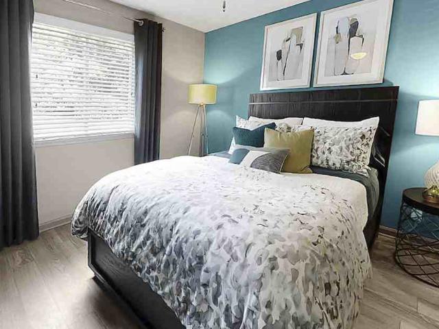 The Madison Franklin 1 Bedroom Apartment for Rent at 801 Del Rio Pike, Franklin, TN 37064