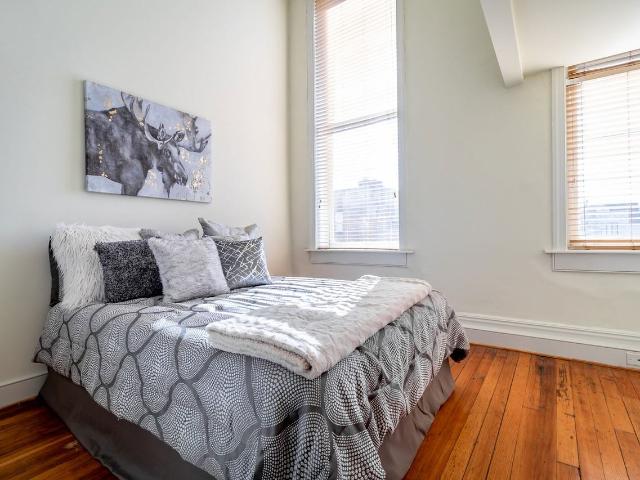The Mezzo Lofts 2 Bedroom Apartment for Rent at 17 W Broad St, Richmond, VA 23220 Monroe Ward