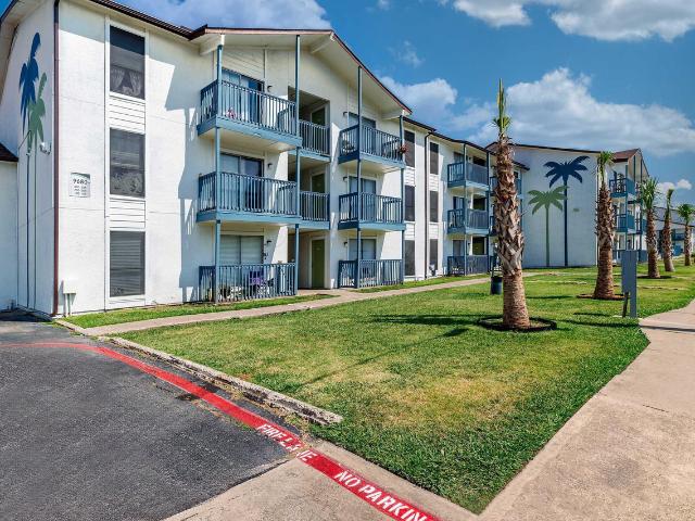 The Milo Apartments 1 Bedroom Apartment for Rent at 9680 Timberline Dr, Dallas, TX 75220