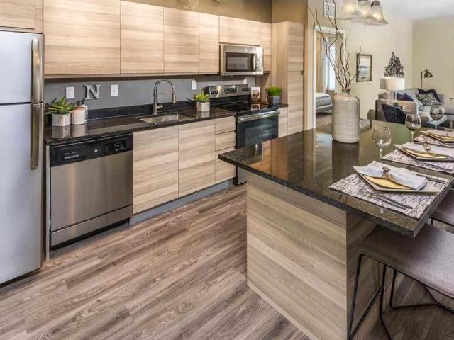 The Nolen Luxury Apartments 1 Bedroom Apartment for Rent at 949 Cleveland St, Clearwater, FL 33755
