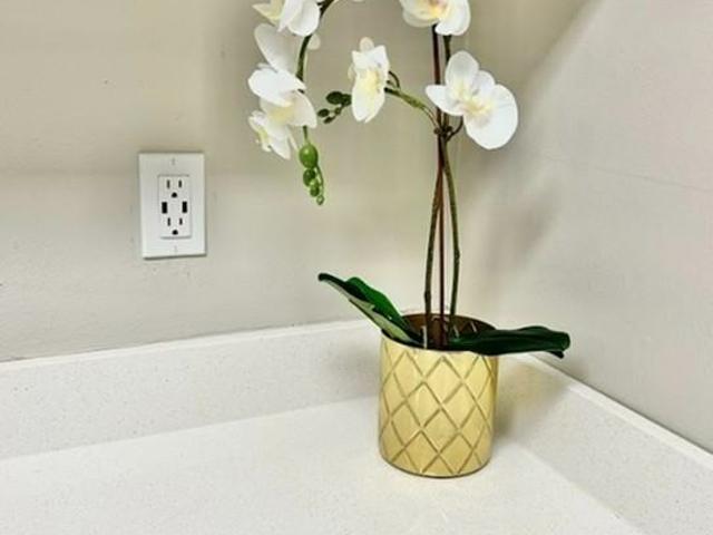 The Nash 1 Bedroom Apartment for Rent at 224 Se 188th Ave, Gresham, OR 97233 Rockwood