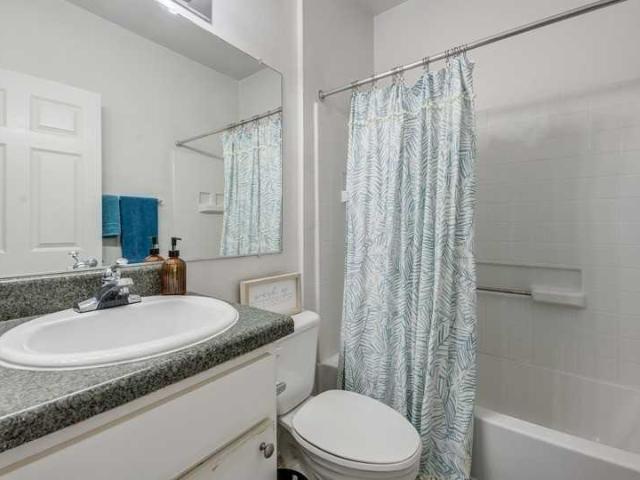 The Social Seminole 4 Bedroom Apartment for Rent at 1001 Ocala Rd, Tallahassee, FL 32304