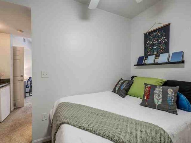 The Social Seminole 4 Bedroom Apartment for Rent at 1001 Ocala Rd, Tallahassee, FL 32304