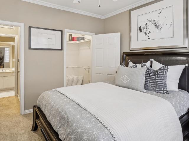 The Saxony Apartments 1 Bedroom Apartment for Rent at 14601 Montfort Dr, Dallas, TX 75254