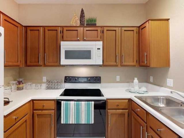 The Saxony Apartments 1 Bedroom Apartment for Rent at 14601 Montfort Dr, Dallas, TX 75254