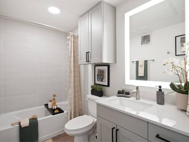 The Shoal Studio Apartment for Rent at 827 W 12th St, Austin, TX 78701 Downtown Austin