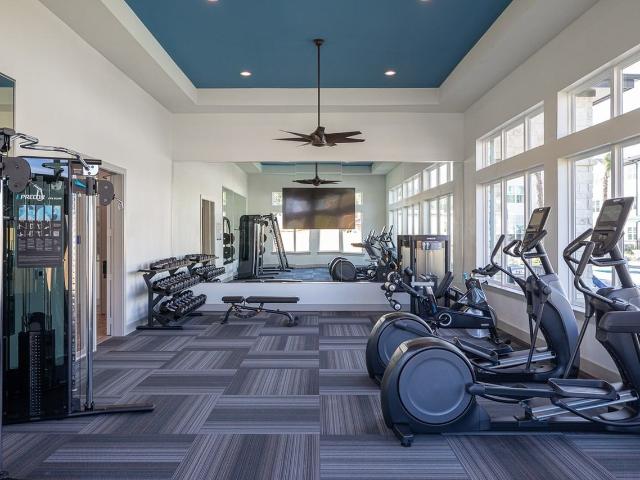 The Standard at Franz 1 Bedroom Apartment for Rent at 24300 Franz Rd, Katy, TX 77493