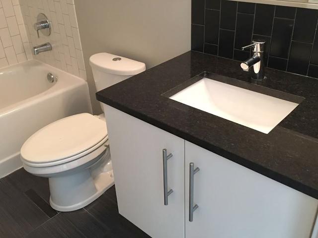 The Sutherland 1 Bedroom Apartment for Rent at 4659 S Drexel Blvd, Chicago, IL 60653 Kenwood