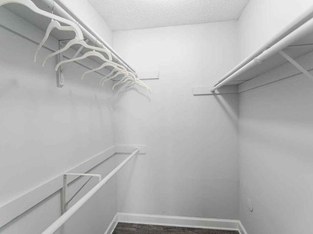 The Point at Tech Center 1 Bedroom Apartment for Rent at 128 Jefferson Point Ln, Newport News, VA 23602 Palmer