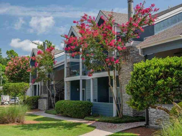 The Pointe Of Ridgeland 1 Bedroom Apartment for Rent at 831 Rice Rd, Ridgeland, MS 39157