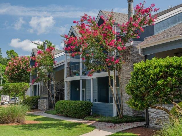 The Pointe Of Ridgeland 3 Bedroom Apartment for Rent at 831 Rice Rd, Ridgeland, MS 39157