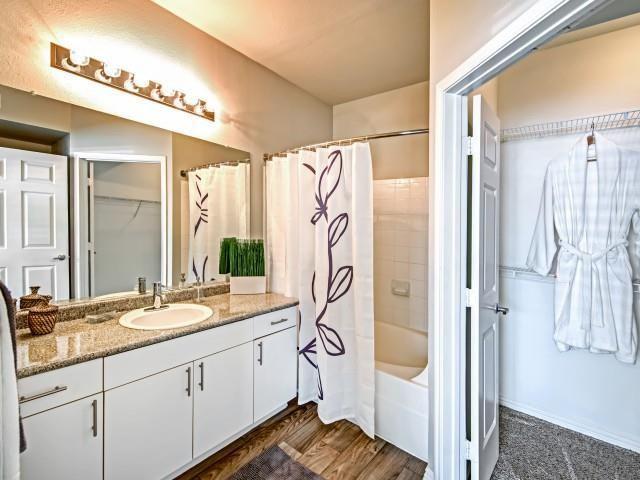 The Pavilions 1 Bedroom Apartment for Rent at 9000 Vantage Point Dr, Dallas, TX 75243