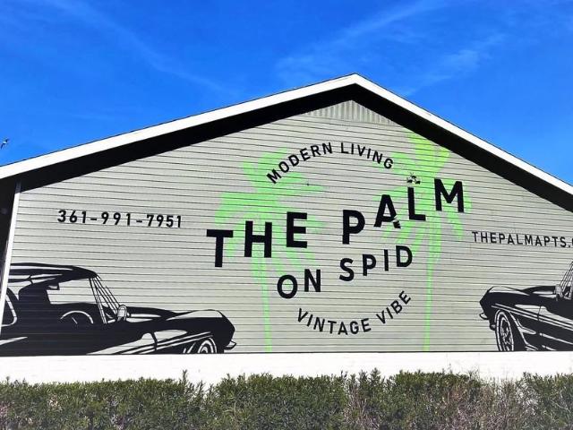 The Palm on SPID 1 Bedroom Apartment for Rent at 7218 S Padre Island Dr, Corpus Christi, TX 78412 Bay Area