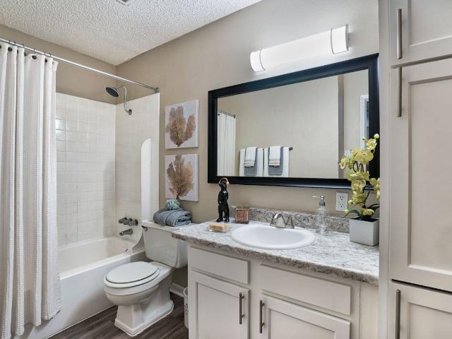The Palm on SPID 1 Bedroom Apartment for Rent at 7218 S Padre Island Dr, Corpus Christi, TX 78412 Bay Area