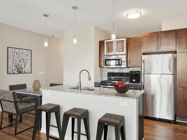 The Palmer 1 Bedroom Apartment for Rent at 600 N 5th St, Minneapolis, MN 55401 North Loop