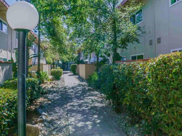 The Palms 2 Bedroom Apartment for Rent at 5000 Marconi Ave, Carmichael, CA 95608