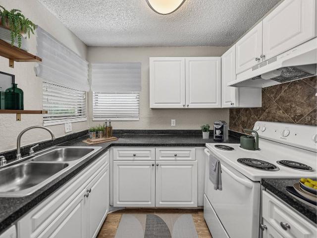 The Park at Valenza 1 Bedroom Apartment for Rent at 6900 Aruba Ave, Temple Terrace, FL 33637