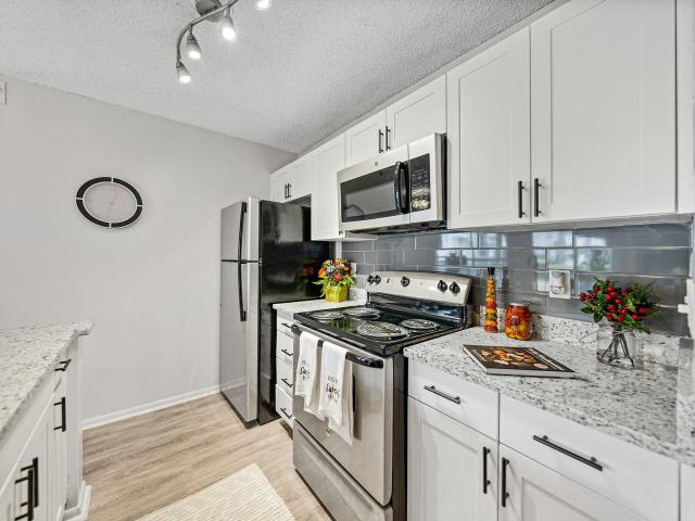 The Park at Portofino Apartments 1 Bedroom Apartment for Rent at 1801 Princeton Lakes Dr, Brandon, FL 33511