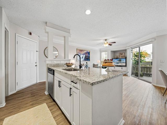 The Park at Portofino Apartments 1 Bedroom Apartment for Rent at 1801 Princeton Lakes Dr, Brandon, FL 33511