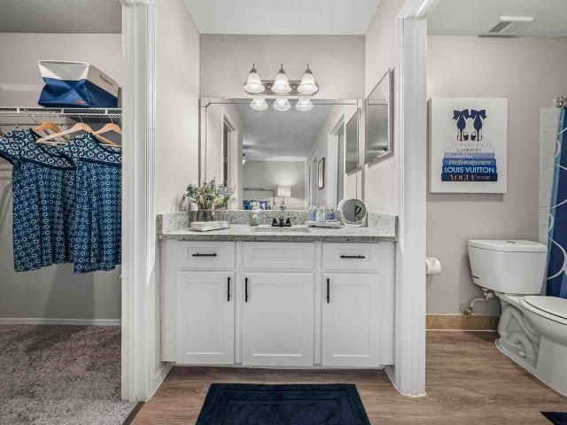 The Park at Potenza 1 Bedroom Apartment for Rent at 10023 Belle Rive Blvd, Jacksonville, FL 32256