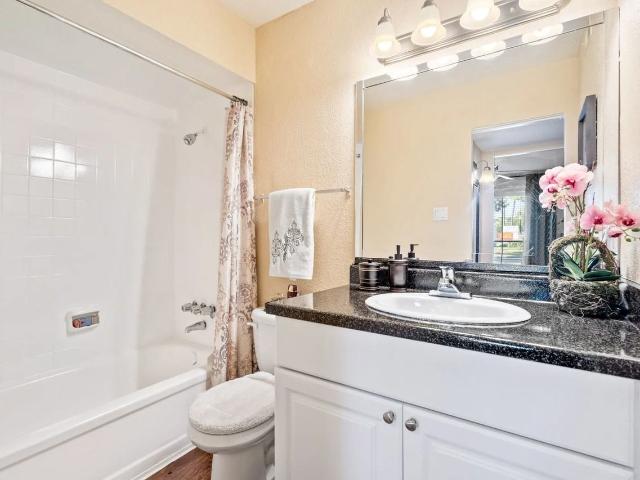 The Park at Salerno 3 Bedroom Apartment for Rent at 12801 Champion Forest Dr, Houston, TX 77066