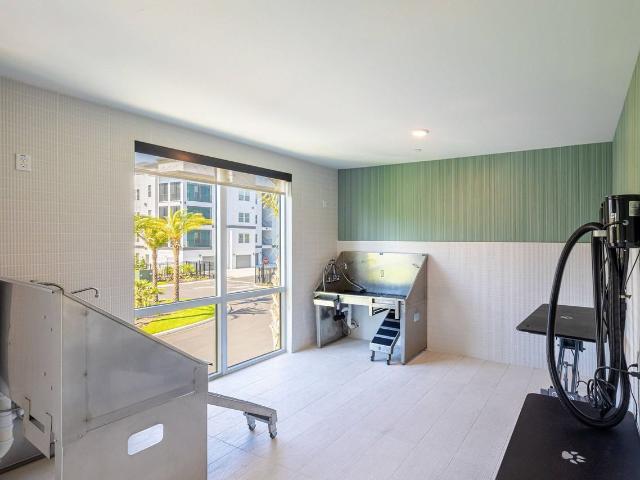 The Parian Luxury Apartments 1 Bedroom Apartment for Rent at 10405 Apollo Manor Cir, Riverview, FL 33578