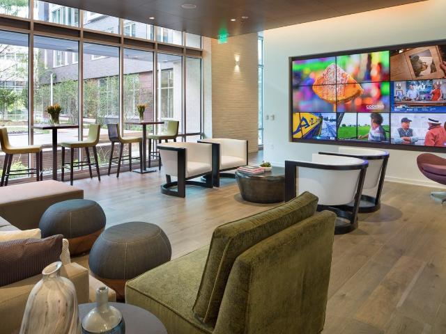 The Pearl Studio Apartment for Rent at 180 High Park Ln, Silver Spring, MD 20910