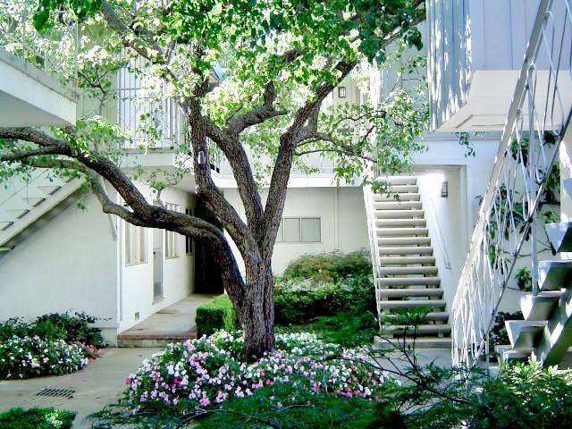The Pines 1 Bedroom Apartment for Rent at 3465 Alameda De Las Pulgas, Menlo Park, CA 94025 University Heights