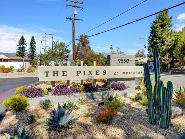 The Pines Apartments