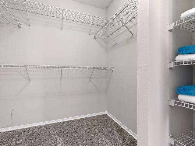 The Preserve at Mobbly Bay 1 Bedroom Apartment for Rent at 8210 Solano Bay Loop, Tampa, FL 33635