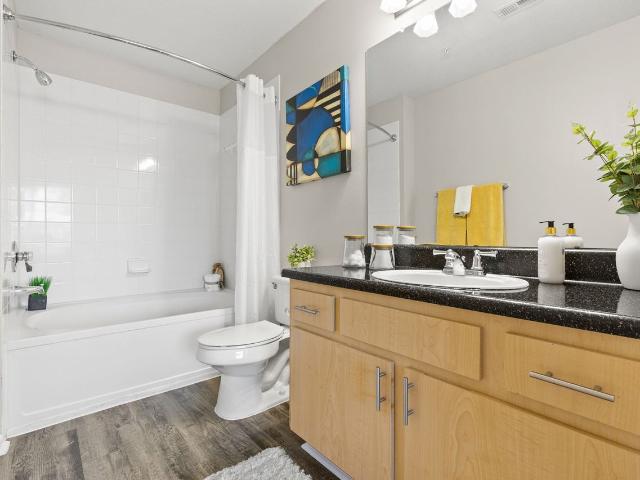 The Preserve at Mobbly Bay 2 Bedroom Apartment for Rent at 8210 Solano Bay Loop, Tampa, FL 33635