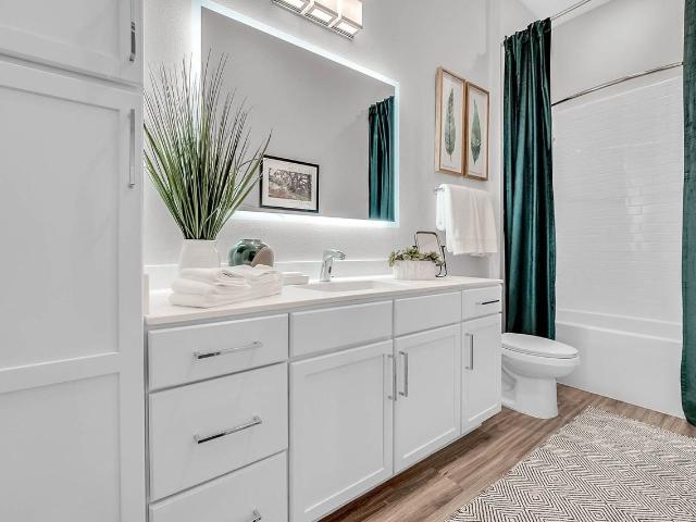 The Princeton at College Park 2 Bedroom Apartment for Rent at 646 W Smith St, Orlando, FL 32804 College Park