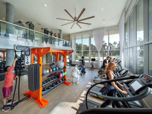 The Q Playa 1 Bedroom Apartment for Rent at 5901 Center Dr, Los Angeles, CA 90045 Westchester Playa Del Rey