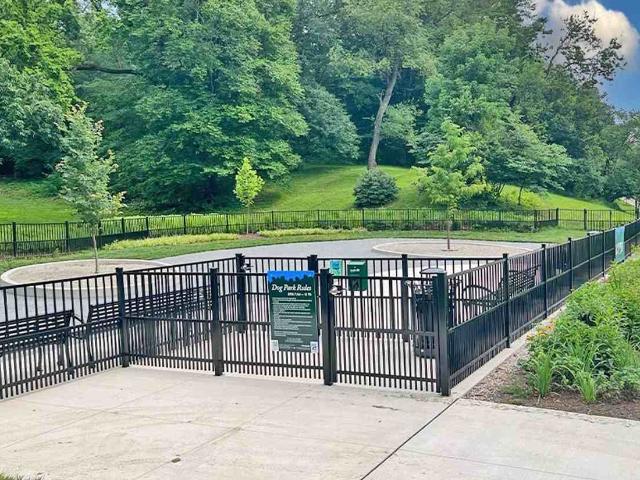 The Roseanne 2 Bedroom Apartment for Rent at 3300 Jefferson Ave, Cincinnati, OH 45220 Clifton