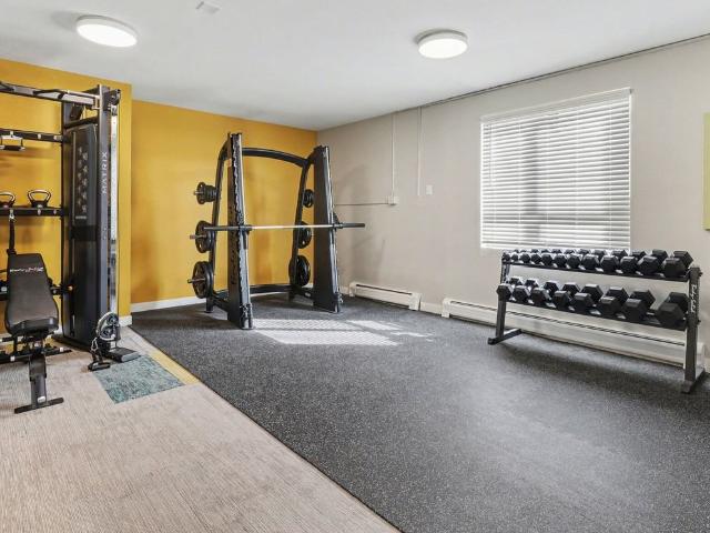 The Rambler 2 Bedroom Apartment for Rent at 5100 Leetsdale Dr, Denver, CO 80246 Washington Virginia Vale