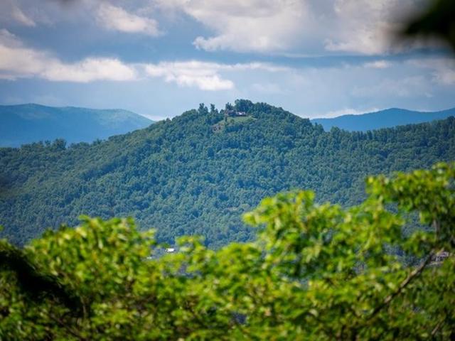 The Rdgs Lot 3, Hiawassee, GA 30536