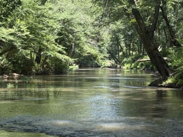 The Retreat at Riverside Rnch Lot 52, Berry, AL 35546