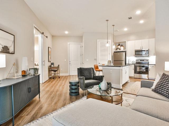 The Rey on Reynolds 1 Bedroom Apartment for Rent at 3360 Steve Reynolds Blvd, Duluth, GA 30096