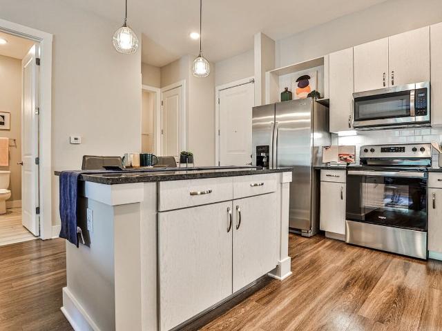 The Rey on Reynolds 2 Bedroom Apartment for Rent at 3360 Steve Reynolds Blvd, Duluth, GA 30096
