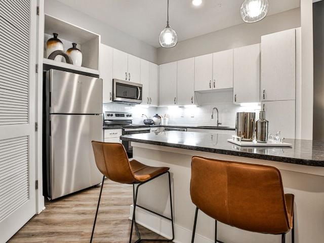 The Rey on Reynolds 2 Bedroom Apartment for Rent at 3360 Steve Reynolds Blvd, Duluth, GA 30096