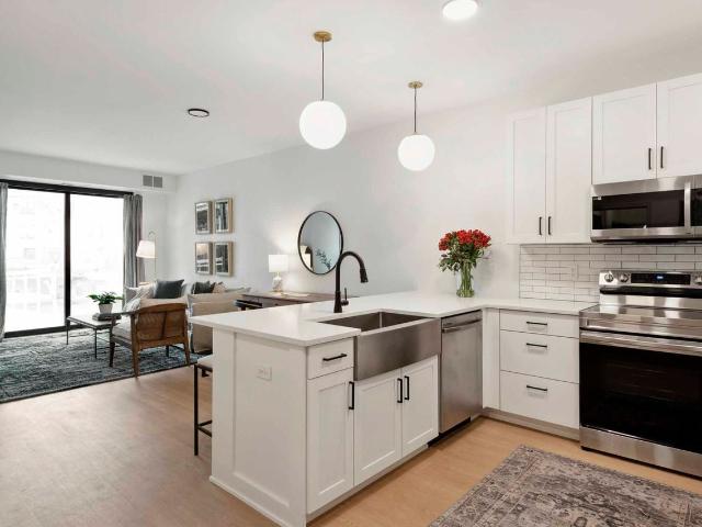 The Reeve Lakeside 1 Bedroom Apartment for Rent at 4600 Lake Road Ave, Robbinsdale, MN 55422