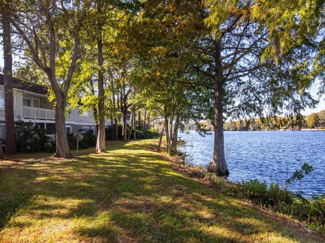 The River Pointe Apartments 1 Bedroom Apartment for Rent at 8024 Hidden River Dr, Tampa, FL 33617