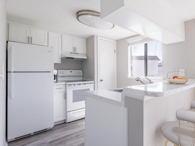 The River Pointe Apartments 2 Bedroom Apartment for Rent at 8024 Hidden River Dr, Tampa, FL 33617