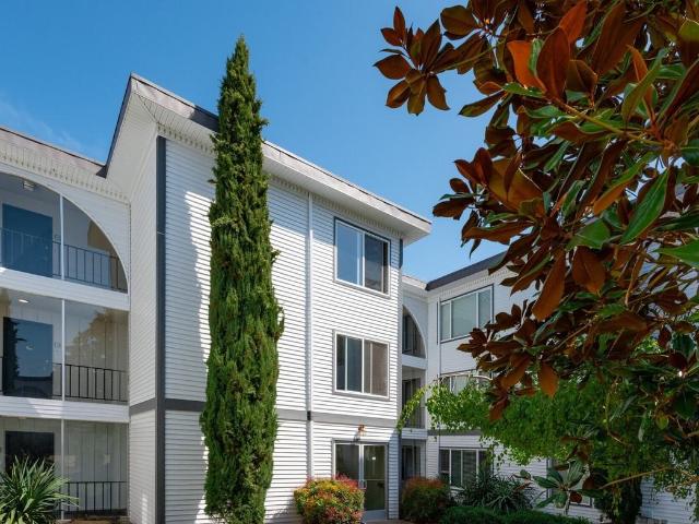 The Ridge at Bellevue 1 Bedroom Apartment for Rent at 13831 Ne 8th St, Bellevue, WA 98005 Wilburton NE 8th St